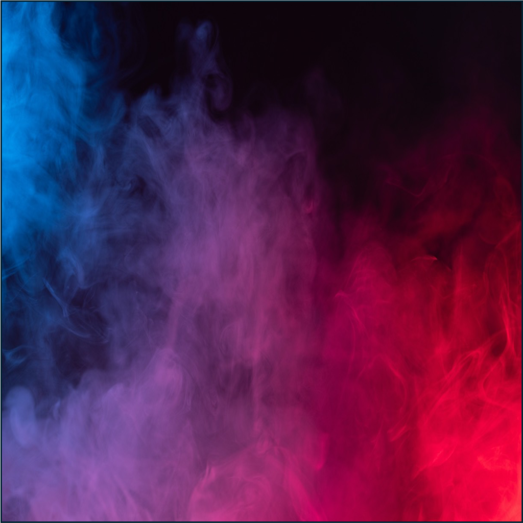 The Unrealistic Leader - JAVELIN INSTITUTE